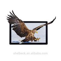 China Full HD 1080P Glasses Free 3d Display , High Resolution 48 Inch Glassless 3d Monitor for sale