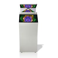 China 21.5 inch High Transparent Hologram Glass 3d hologram advertising display with touch screen optional for sale