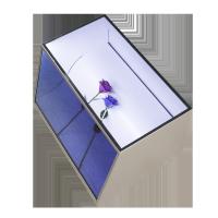 China Trade Show Transparent Display Screen 1920*1080 Showchase Advertising Player for sale