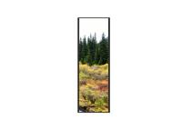 China 35.5 inch Stretched Bar Lcd Display Ultrawide Monitor Ultra-Wide Stretched Bar Type LCD Display for sale