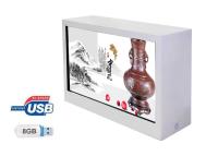 China 19in Transparent LCD Video Showcase 20W For Watch Stores for sale