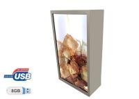 China HDMI VGA Transparent LCD Showcase Box 65in Digital LCD Display Signage for sale