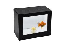 China IPS Transmissive Transparent Lcd Display AC240V 15.6in For Gift for sale
