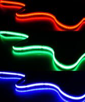 China RGB CCT LED Strip 24v 3m Adhesive Low Density Flex Led Strip Lights 5m Per Roll for sale