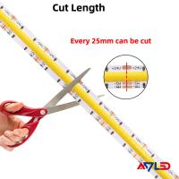 China No Dots Flexible LED Tape Light Waterproof IP65 Tunable White CCT COB LED Strips For Room for sale