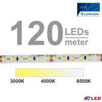 China 10mm Led Strip Lights Famous Brand Lumileds 12v 24v White for sale