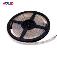 China IP20 IP67 Outdoor LED Strip 5M 12V 24V Pure White 120 Side View LED Light for sale