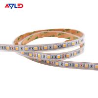 China Waterproof 5050 Single Color LED Strip Lights 12V 24V Warm White Blue Green Outdoor IP65 IP68 for sale