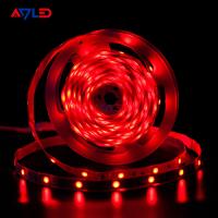 China Luces RGB LED Strip Light DC12V 24V 10mm Tira LED RGB 4 Pin for sale