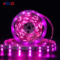 China Addressable RGB LED Strip WS2811 Magic Digital Pixel Full Color Chasing 5050 12V 24V for sale