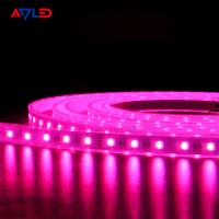 China IP65 IP67 IP68 RGBW LED Strip Lights Color Changing Outdoor 4 In 1 5050 5 Pin 12V 24V for sale