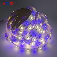 China Color Changing LED Strip Light Addressable Smart RGB W White 24V DC 5050 Waterproof for sale