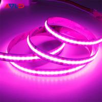 China Exterior Coloured LED Strip Lights DC12V 24V Dotless RGB LED Strip Super Bright for sale