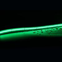 China New Project Installation RGBW Color Led Strip light Cob Magic Digital Addressable COB led Strip for sale