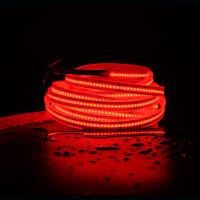 China led strip lights commercial professional factory full Color RGBW smart strip lights ip20 ip65 COB LED Strips for sale