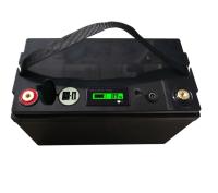 China 1280Wh 12V 100Ah LiFePO4 Li Ion Battery LED Power Show DC5521 Port M8 Bolt Head for sale