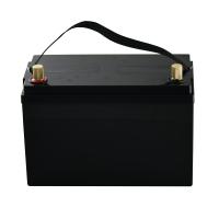 China 1280Wh 12V 100Ah LiFePO4 Li Ion Battery LED Power Show DC5521 Port M8 Bolt Head for sale