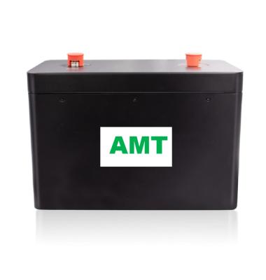 China 100Ah 12V LiFePO4 Battery Pack With BMS for sale