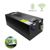 China 8S2P 24V 200Ah LiFePO4 Electric Golf Cart Batteries For Electric Vehicles With BMS for sale