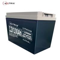 China 12V 100Ah Rechargeable LiFePO4 Battery with BMS Protection for Marine Solar Power for sale