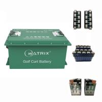 China 51V 56Ah Lithium Golf Cart Battery LiFePO4 Deep Cycle with Smart BMS for sale