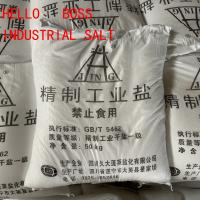 China Industrial Salt Sodium Chloride NaCl 99% Purity Water Treatment for sale