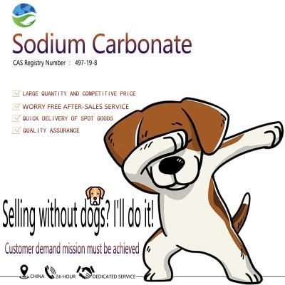 China 99.2% Pure Sodium Carbonate for Glass Manufacturing and Water Treatment for sale