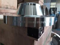 China F51 F53 F316L Stainless Steel Flanges For Industry for sale