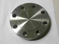 China Stainless Steel Forged Flanges Blind Pipe Flange For Pipe Connect Astm A182 for sale