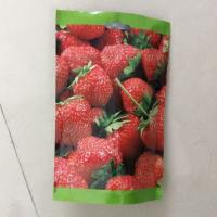 China Snacks Mylar Aluminum Foil Bags SGS ziplockk Bag Moisture Proof for sale