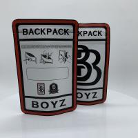 China Custom Printed Mylay Smell Proof backpack boys Double Zipper Plastic Child proof Resistant Weed Packing Bags for sale