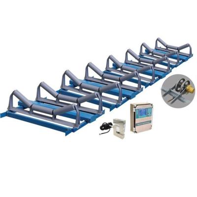 China ICS-14A Electronic Conveyor Weighing Scale High Precision Sensor Belt Fire Resistant for sale
