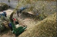 China Cotton stalk cutting machine-----0086-18992709063 for sale