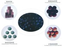 China 2019 hot-selling Automatic coal dust briquetting machine for sale