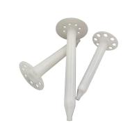 China Wall Rigid Foam Insulation Anchors Strong Flat Head For Securely Fastening Insulation Boards Customizable Logo for sale
