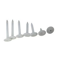 China Durable Plastic Anchor Insulation For Secure Wall Fixing 25-250mm Length Hammer In Installation for sale
