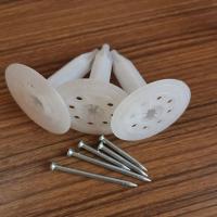 China Custom White Wall Insulation Anchor For Fixing Boards Spiral Shank Design Corrosion Resistance for sale
