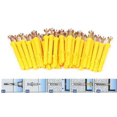 China Common Standards Plastic Anchor Screw With Weather Resistance For Wall or Ceiling Fixing for sale