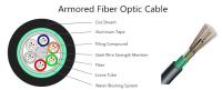 China OEM Indoor Fiber Optic Cable Assembly Dual Color Differentiation PVC LSZH OFNP Jacket for sale