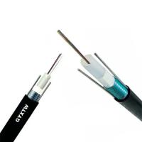 China OEM Logo PE Sheath Armored Fiber Optic Cable GYXTW 12 Core 24 Core Water Resistant for sale