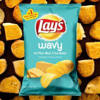 China Snack Lays Viet Nam Varietys Supply with CNF Shipping Term 6 Months Exp Instruction for sale