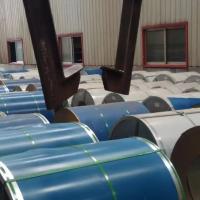 China Prepainted Steel Coil 0.8mm x 1000mm RAL5005 RAL1013 Corrosion Resistant for Furniture for sale