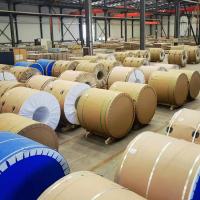 China DX52D Color Coated Steel Coil 0.1-200mm Thickness 100-200mm Width Prepainted Galvanized Steel for sale