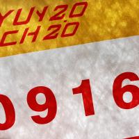China Digital Plate Sport Race Bib Number Cloth Customized Athletic Number Book for Marathon Running Events for sale