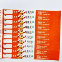 China Chinese Manufacturer Paper Event Wristband for sale