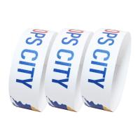 China Chinese Manufacturer Paper Event Wristband for sale