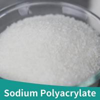 China Industry Grade Sodium Polyacrylate High Absorption Capacity Polyacrylic Acid Sodium Salt 9003-04-7 for sale