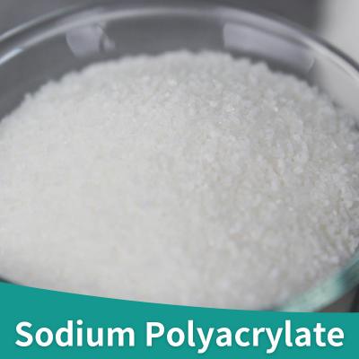 China Industry Grade Sodium Polyacrylate High Absorption Capacity Polyacrylic Acid Sodium Salt 9003-04-7 for sale