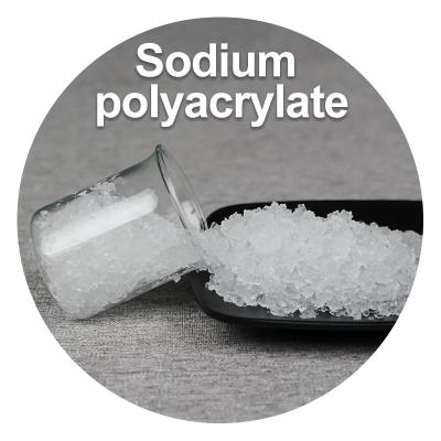 China Industrial Sodium Polyacrylate (CAS 9003-04-7) – High-Performance Water Absorbent Polyacrylic Acid Sodium Salt for sale