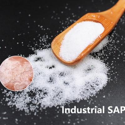 China High-Absorbency Industrial Sodium Polyacrylate (CAS 9003-04-7) – Advanced Polyacrylic Acid Sodium Salt for sale